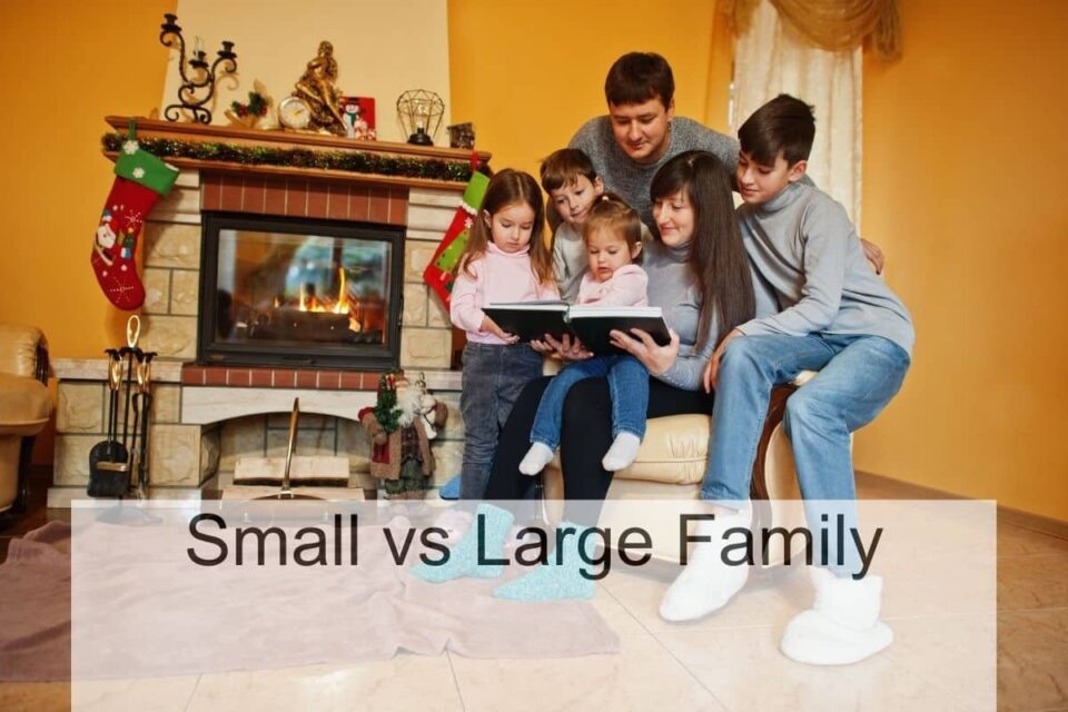 Small vs Large Family (Which Is The Best Option?) - KidsTurnCentral.com