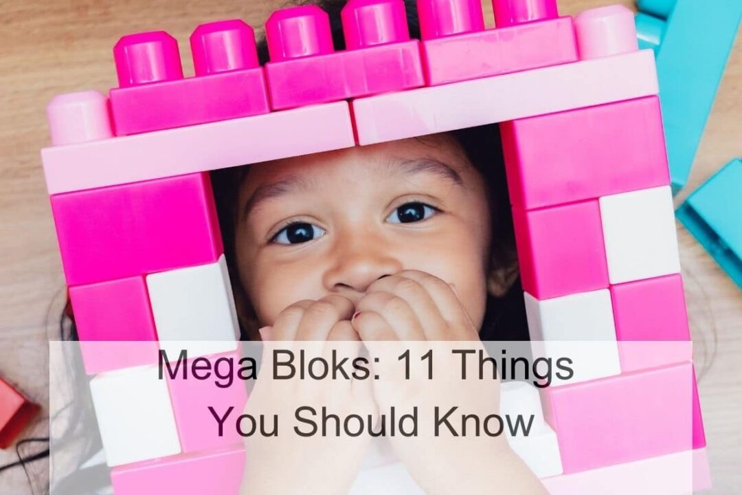 Mega Bloks: 11 Things You Should Know - KidsTurnCentral.com