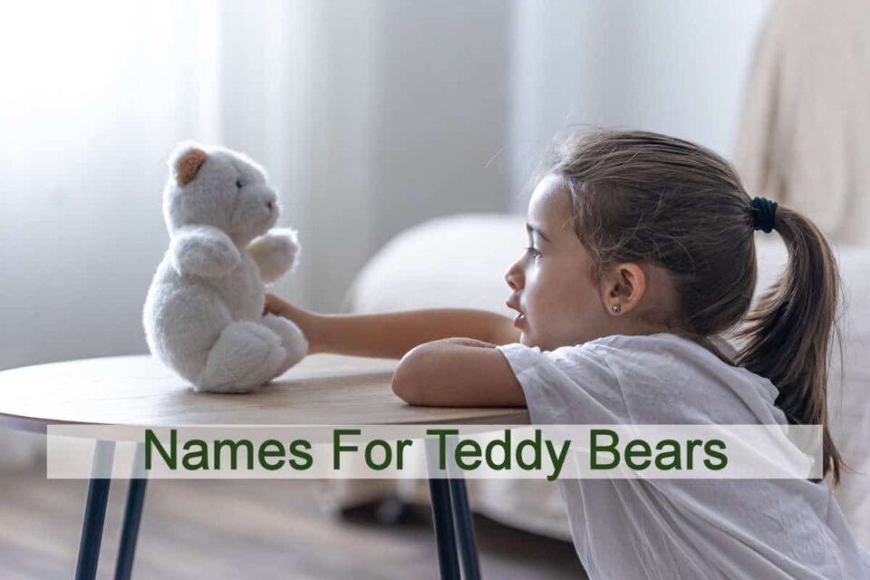 167 Names For Teddy Bears (Which Ones Do You Like?)