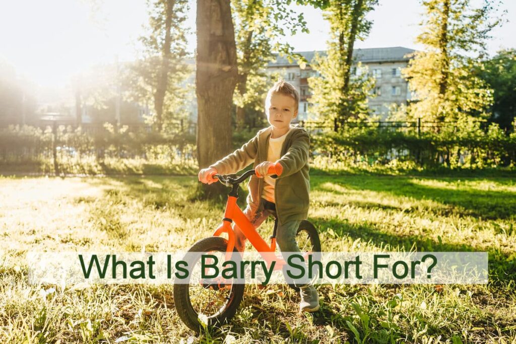 What Is Barry Short For? (Is It A Popular Name?) - KidsTurnCentral.com