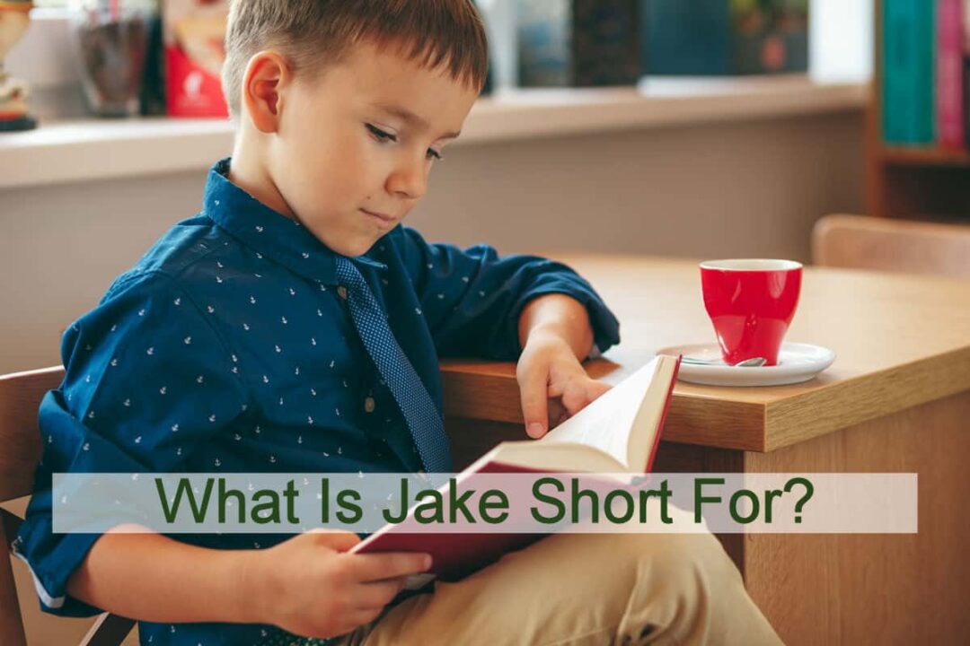 What Is Jake Short For? - KidsTurnCentral.com