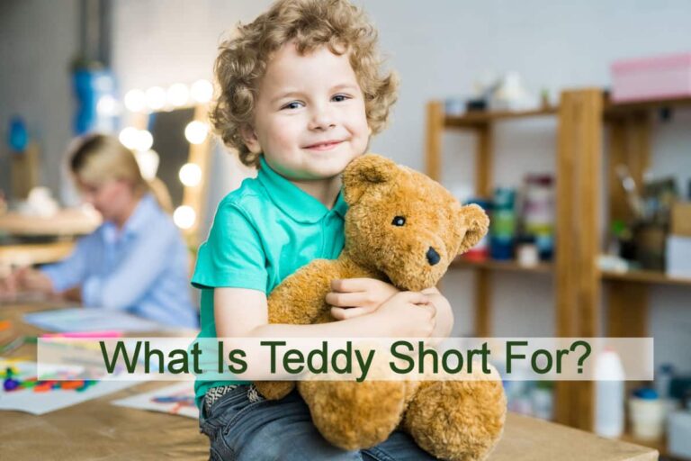 What Is Teddy Short For? (It's Probably More Than You Think)